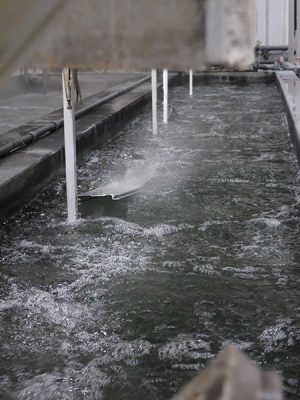 Copper Anodized Aluminum - Linetec