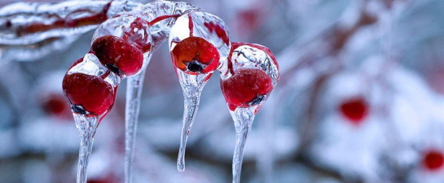 Linetec Holiday Hours - Linetec